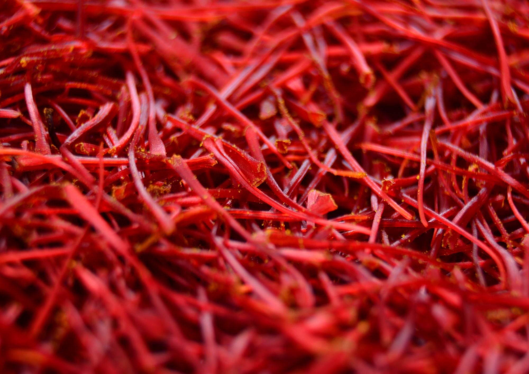Ideas for perfuming rooms: Saffron fragrance | Aquaflor Magazine
