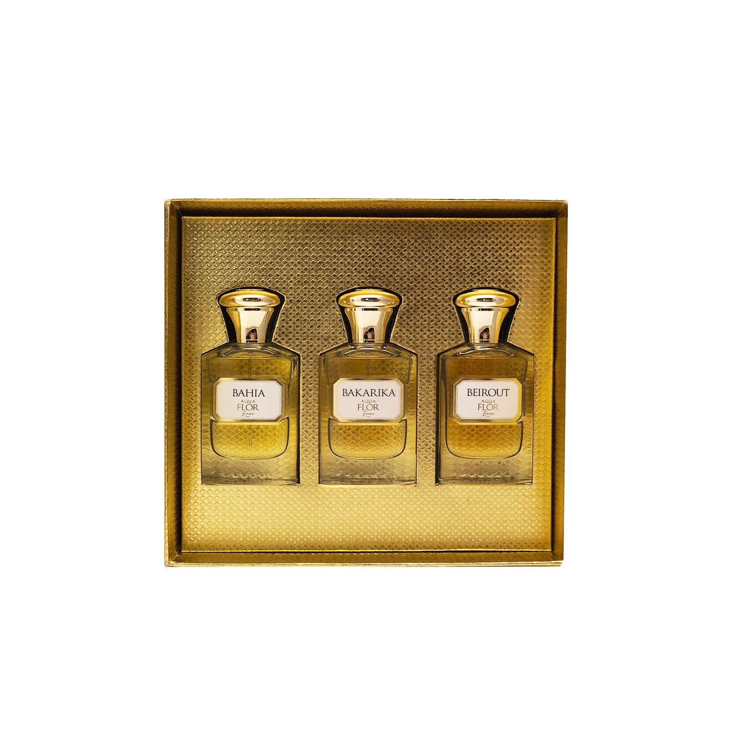 Woody, Gourmand and Spicy Scents | B Collection Aquaflor